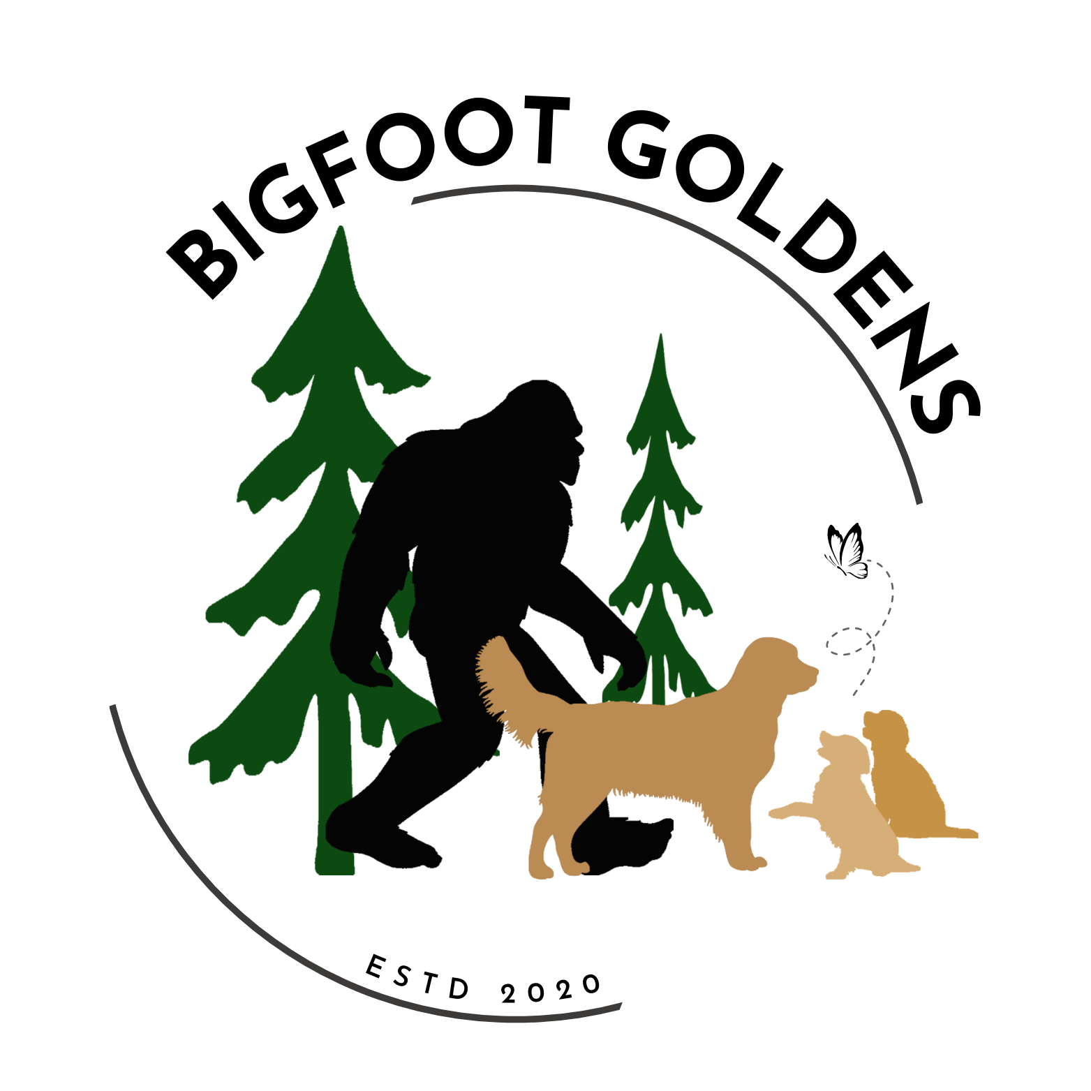 Bigfoot Goldens – AKC Registered Golden Retrievers